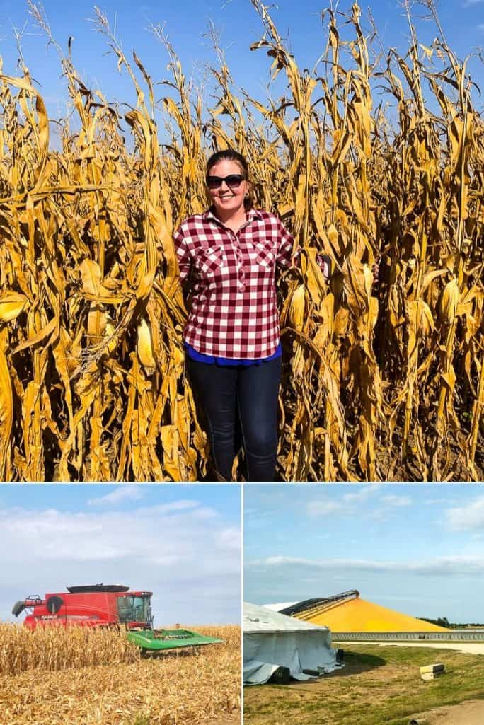 A Whirlwind Farm Food Tour In Kansas • The Crumby Kitchen