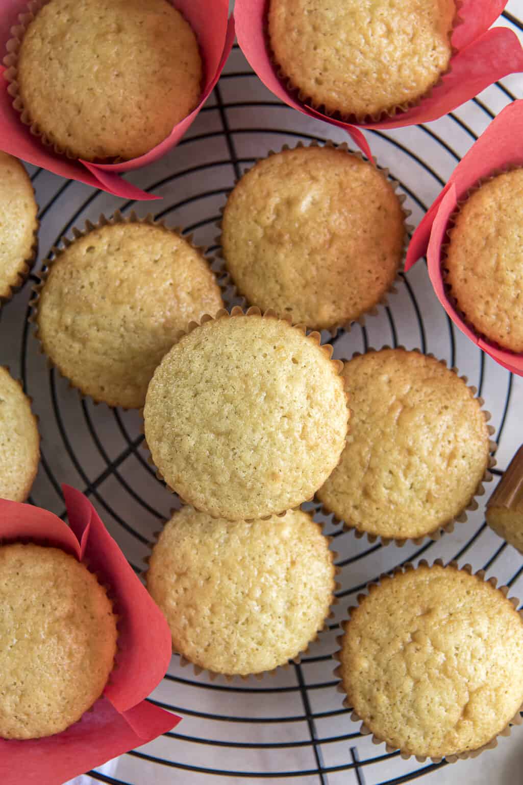 Mantecadas (Mexican Muffin Recipe) • The Crumby Kitchen